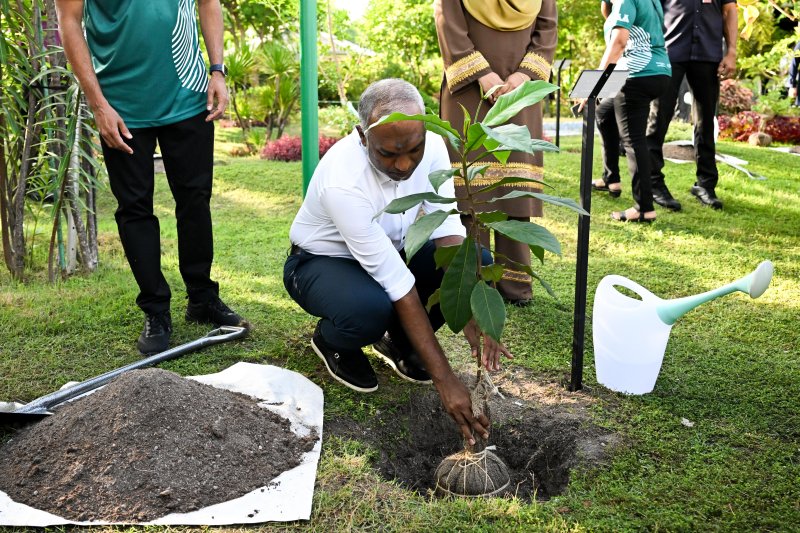 Maldives launches five million trees planting programme